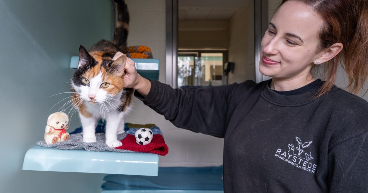 Who we are and what we do - Raystede Centre for Animal Welfare