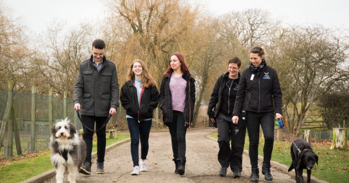 For schools & uniform groups - Raystede Centre for Animal Welfare