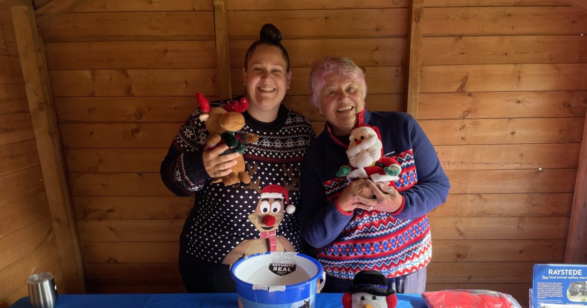 Holiday Help Out - Raystede Centre for Animal Welfare