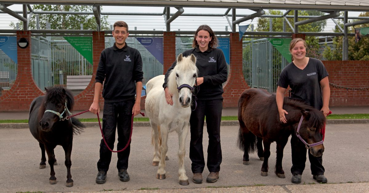Talks and events - Raystede Centre for Animal Welfare