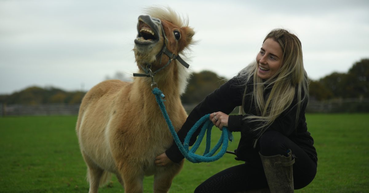 Caring for your pet - Raystede Centre for Animal Welfare