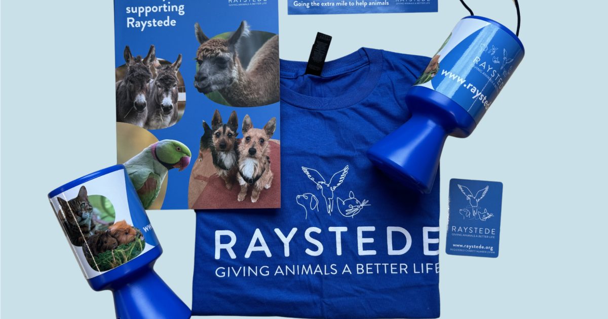 Fundraising materials - Raystede Centre for Animal Welfare