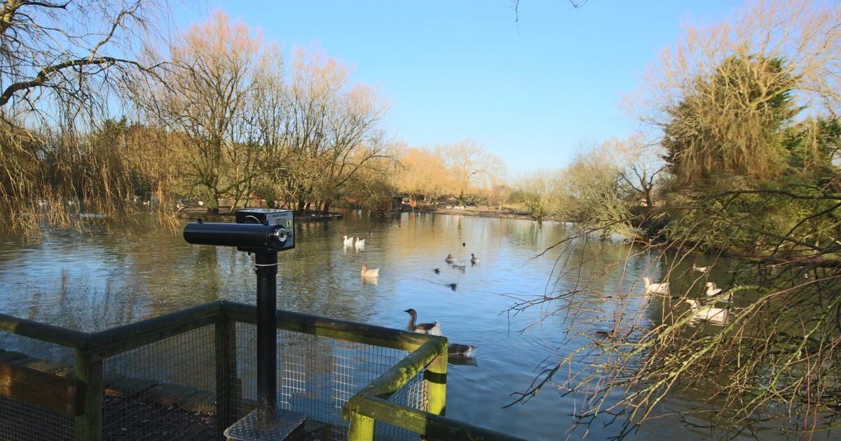 Our Sanctuary - Raystede Centre for Animal Welfare