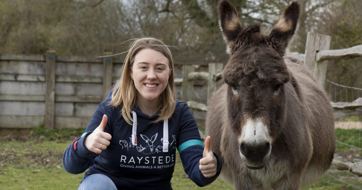 Planning & creating your own event - Raystede Centre for Animal Welfare