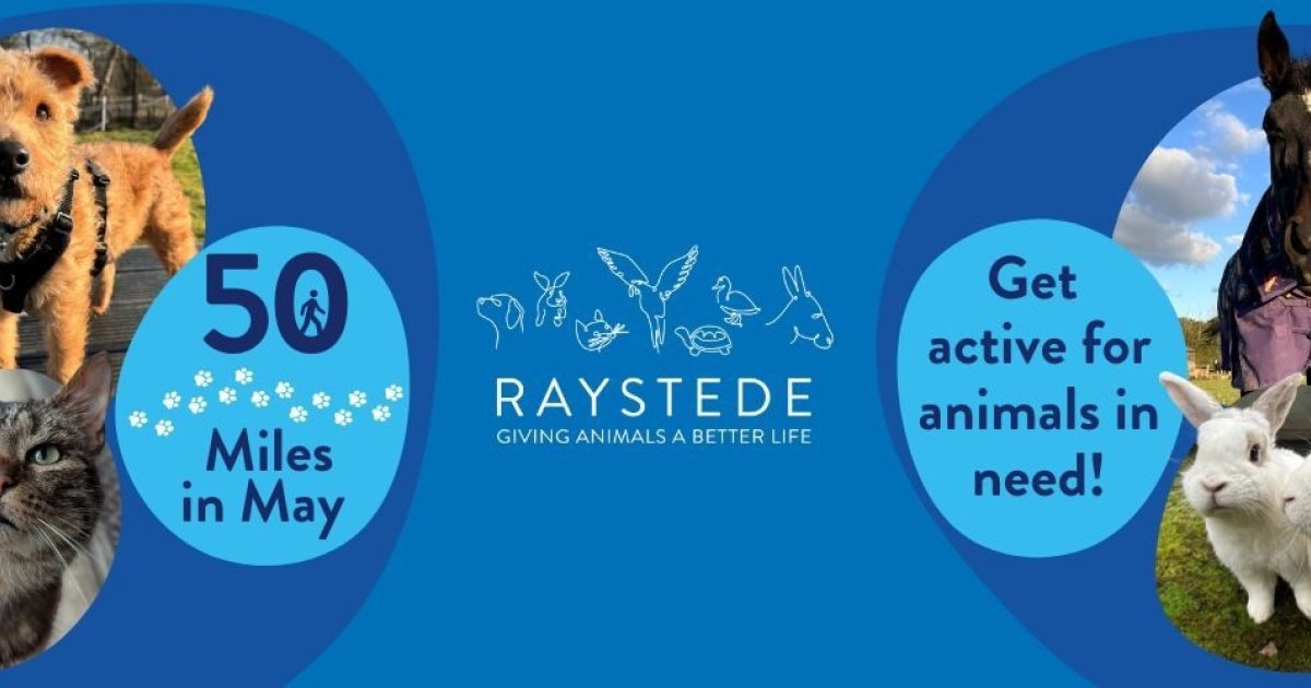2026 50 Miles in May - Raystede Centre for Animal Welfare