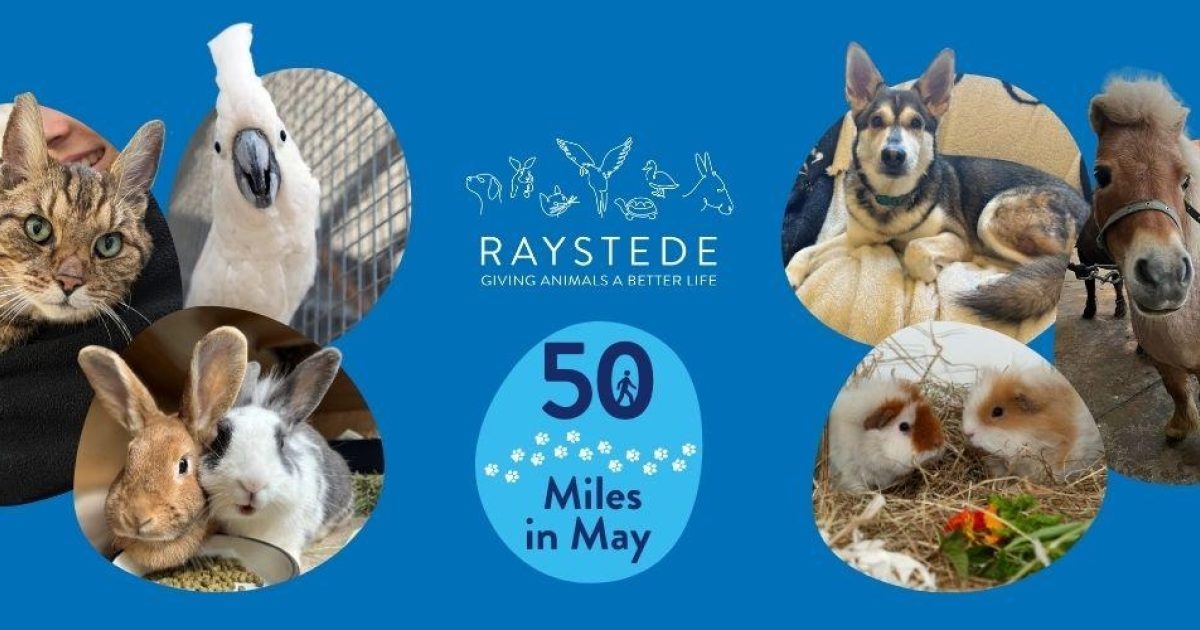 2025 50 Miles in May - Raystede Centre for Animal Welfare