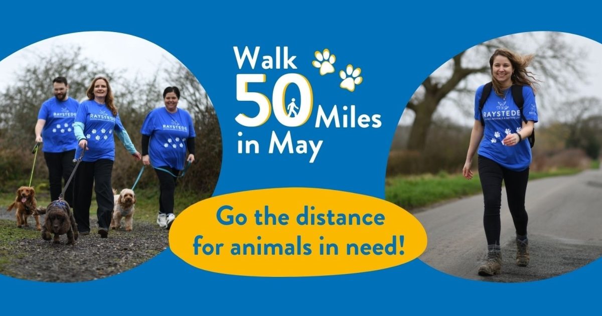 Walk 50 Miles in May - Raystede Centre for Animal Welfare