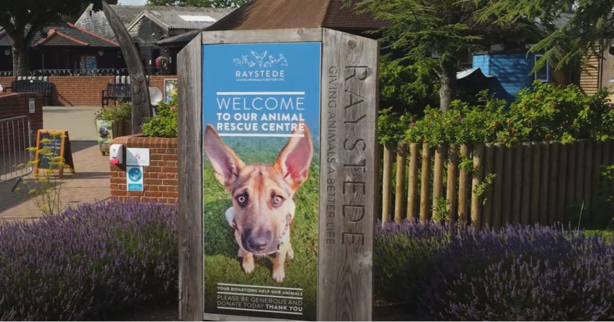 About Raystede - Raystede Centre for Animal Welfare