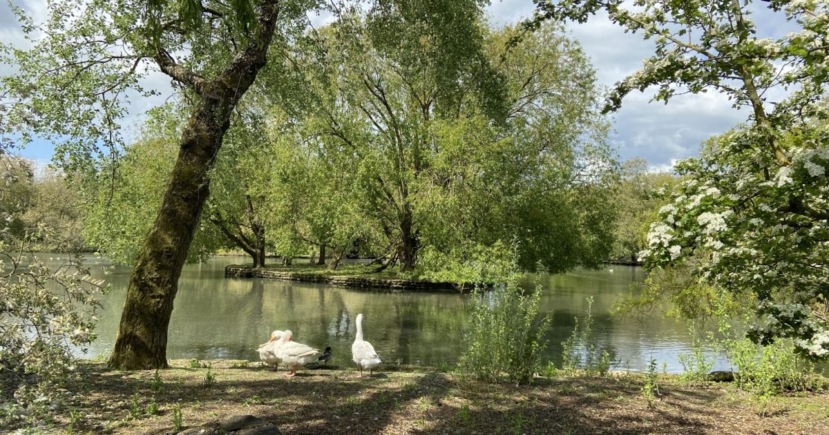 Visit us - Raystede Centre for Animal Welfare