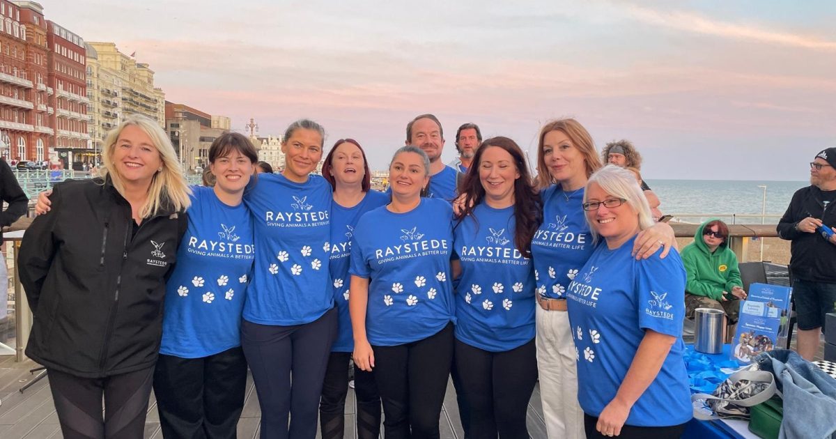 Businesses, Schools & Groups - Raystede Centre for Animal Welfare