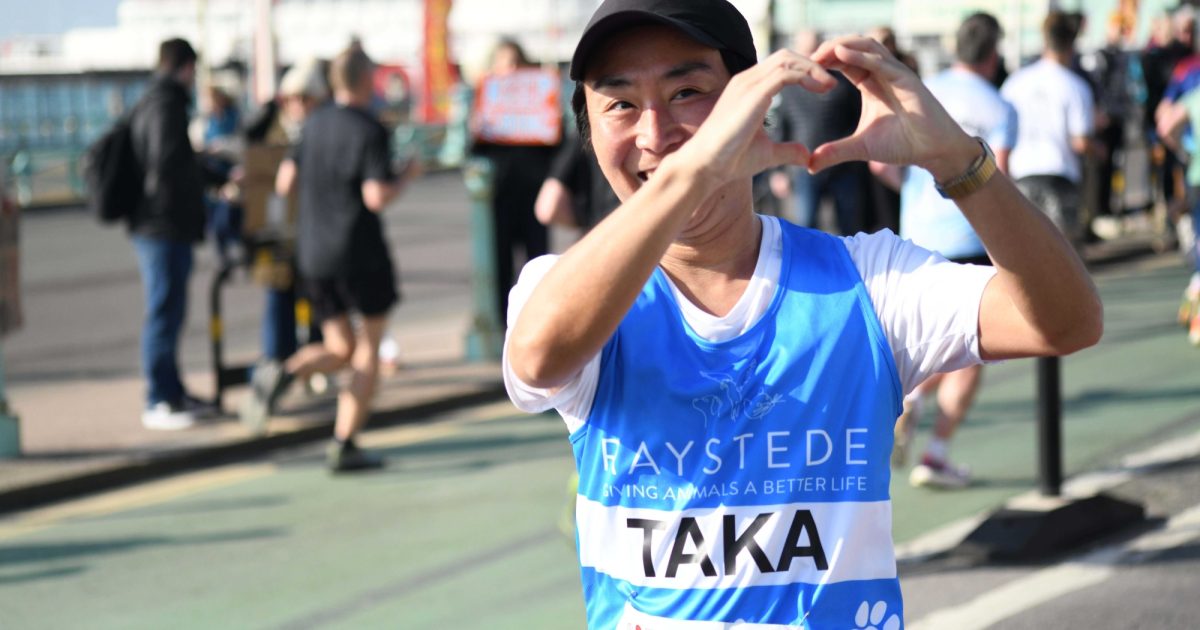 Challenge Events - Raystede Centre for Animal Welfare