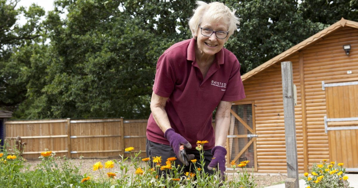 Celebrating the value of volunteers at Raystede. - Raystede Centre for ...