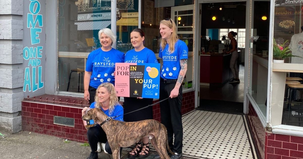 Love Chloe and Bagelman Join Paws to Support Raystede - Raystede Centre ...