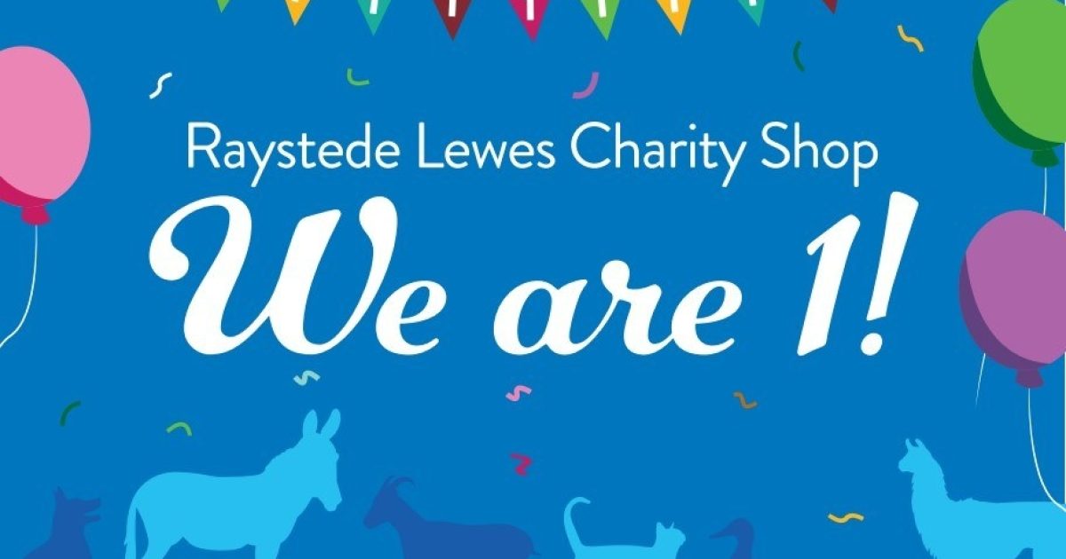 Raystede’s Lewes charity shop celebrates first birthday on Tuesday 8 ...