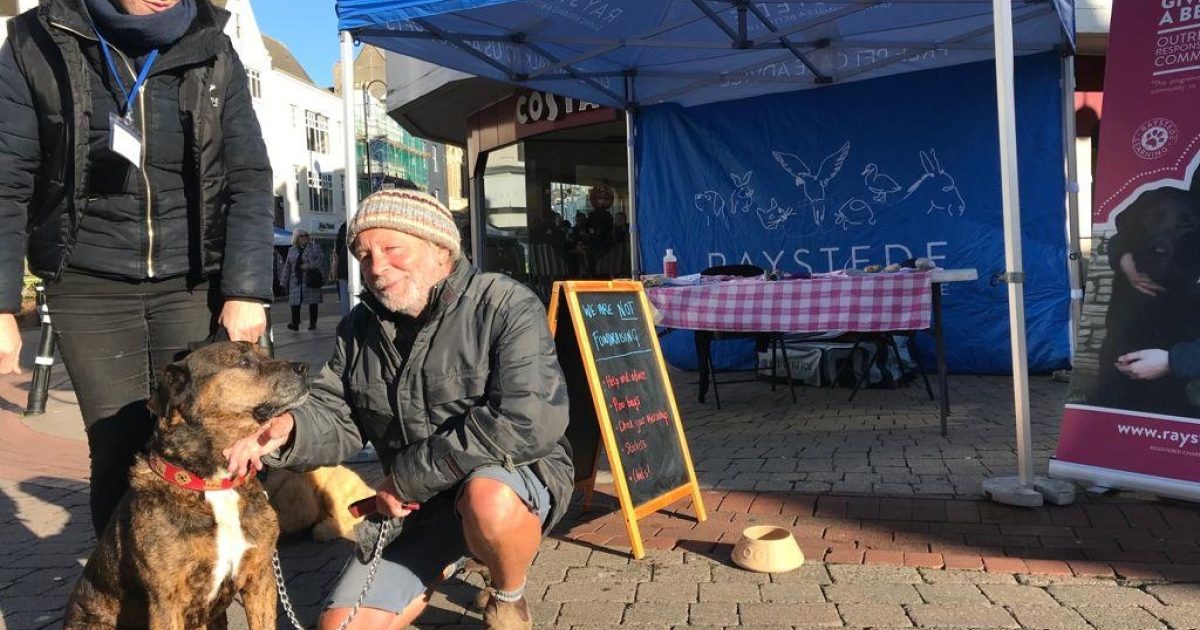 Raystede's Education Team are coming to Hastings with free pet advice ...
