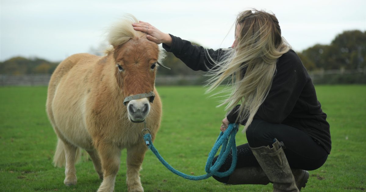 Purdie - Raystede Centre for Animal Welfare
