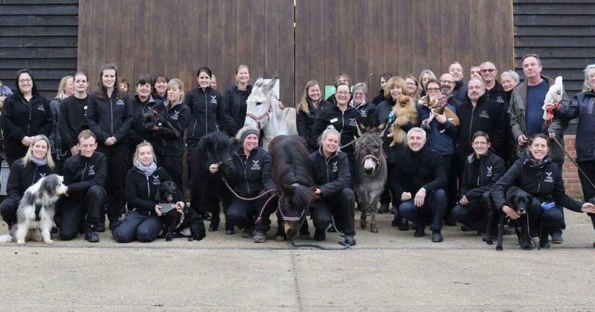 Careers - Raystede Centre for Animal Welfare