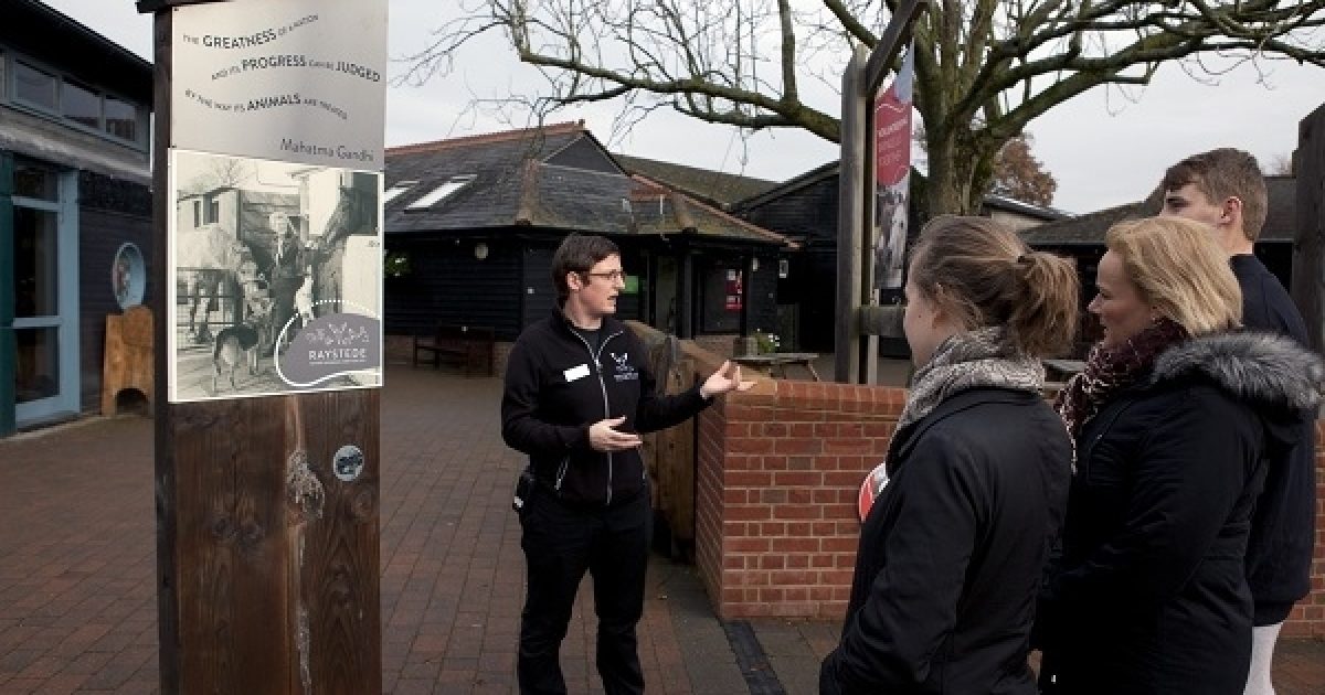 Daily Tour - Raystede Centre for Animal Welfare