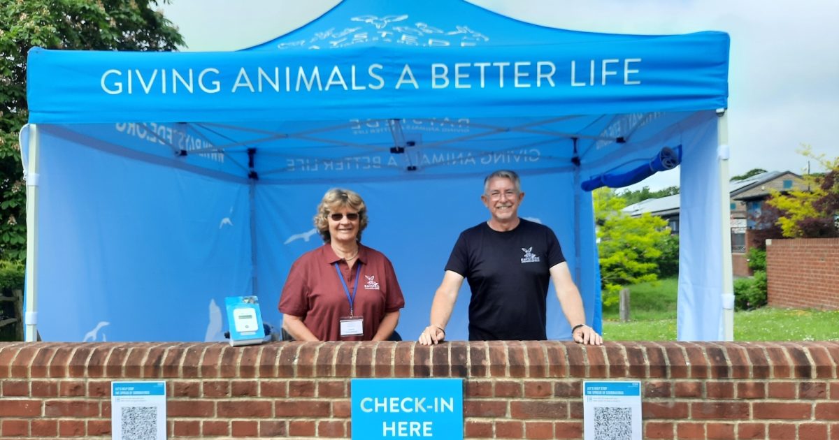 A guide to your day at Raystede - Raystede Centre for Animal Welfare