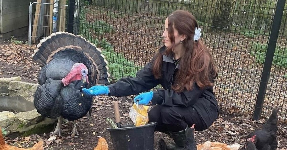 Running for Raystede - Runner Spotlight - Raystede Centre for Animal ...