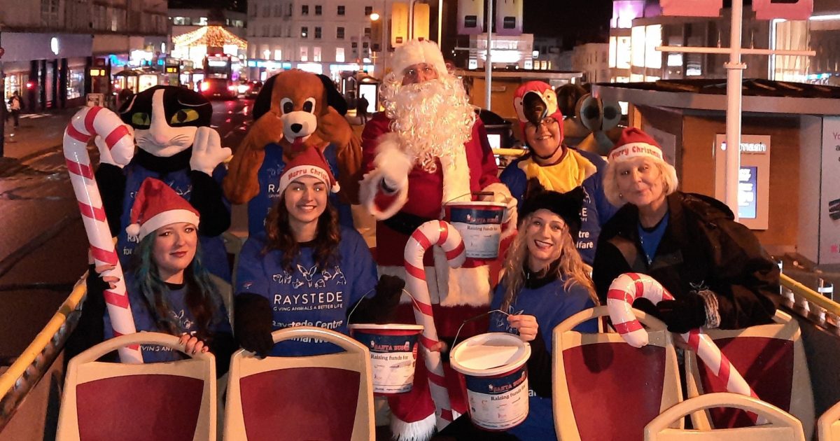 Raystede is taking part in the Brighton & Hove Santa Bus! - Raystede ...