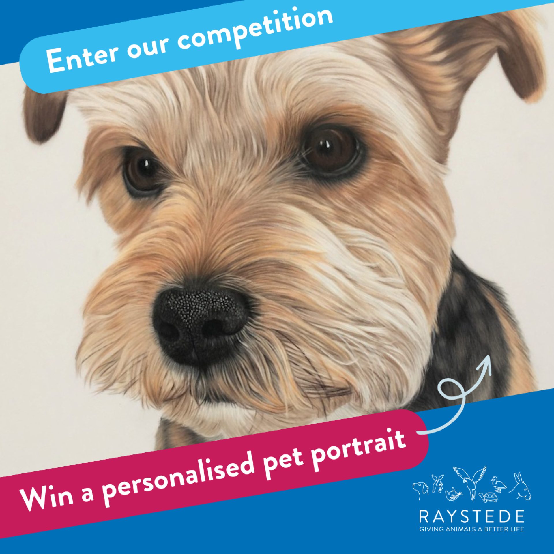 Do you look like your pet? - Raystede Centre for Animal Welfare