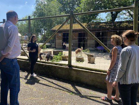 Raystede Centre for Animal Welfare - Raystede Centre for Animal Welfare