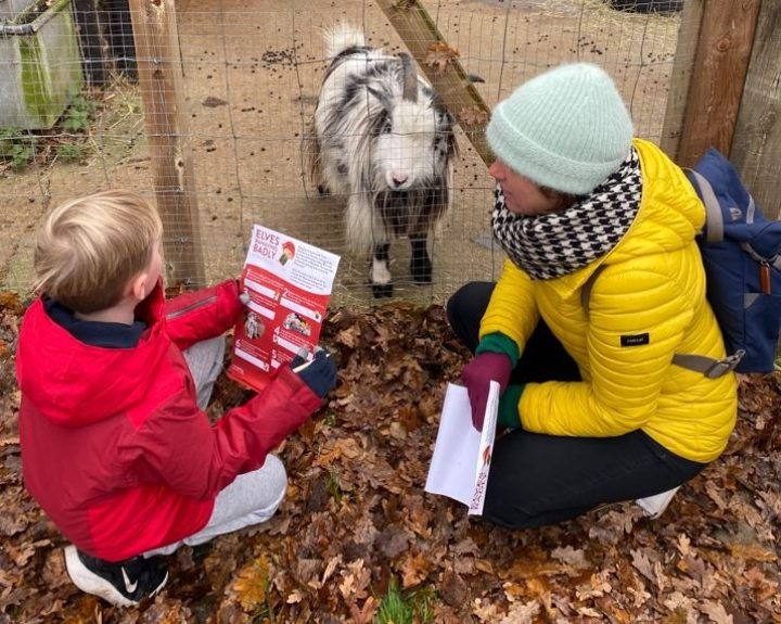 Talks and events - Raystede Centre for Animal Welfare