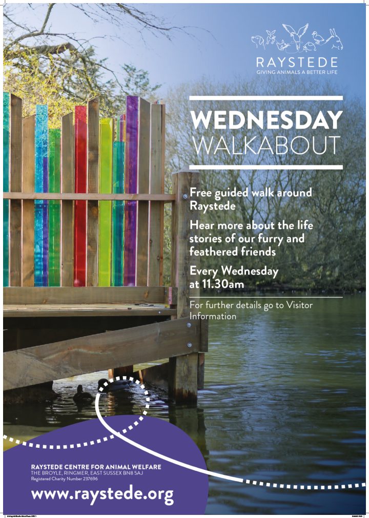 Talks and events - Raystede Centre for Animal Welfare