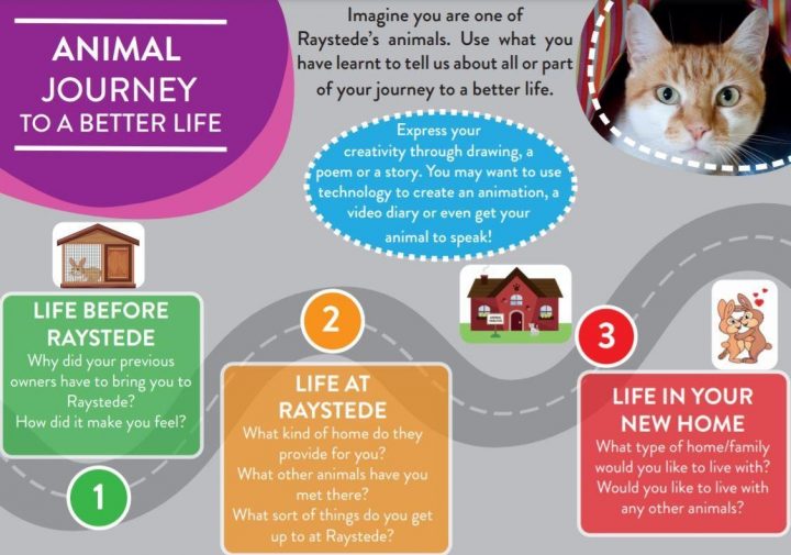 Learning online - Raystede Centre for Animal Welfare