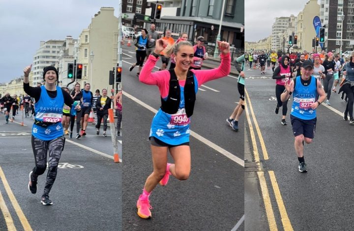 What's new - Raystede Centre for Animal Welfare