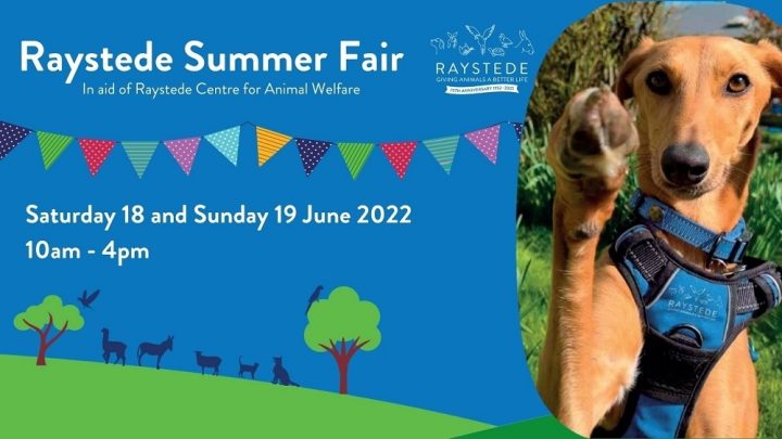 What's new - Raystede Centre for Animal Welfare